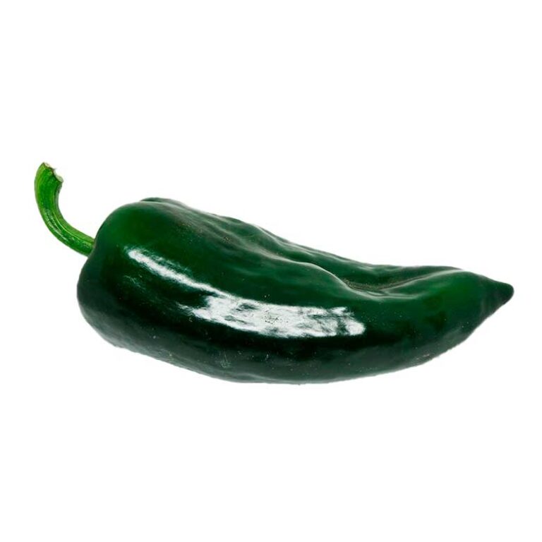 Chile Poblano – CandyMar